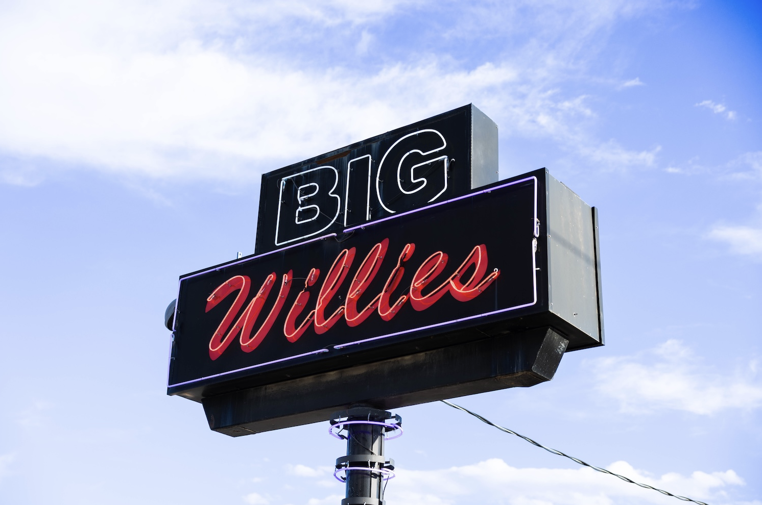 Big Willie’s Hosts Giving Tuesday Bingo Night to Support Animals in ...